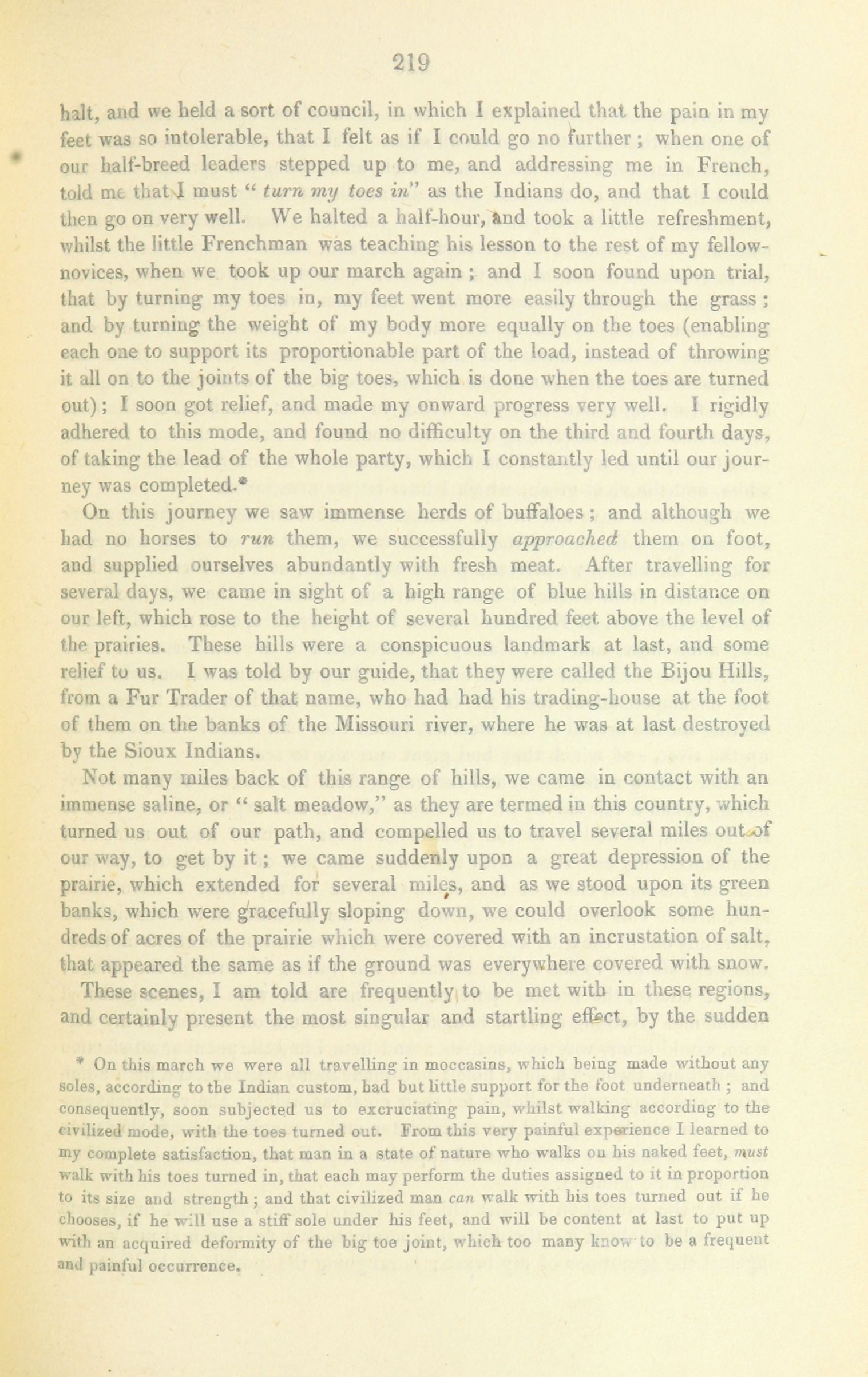 Illustration Archive