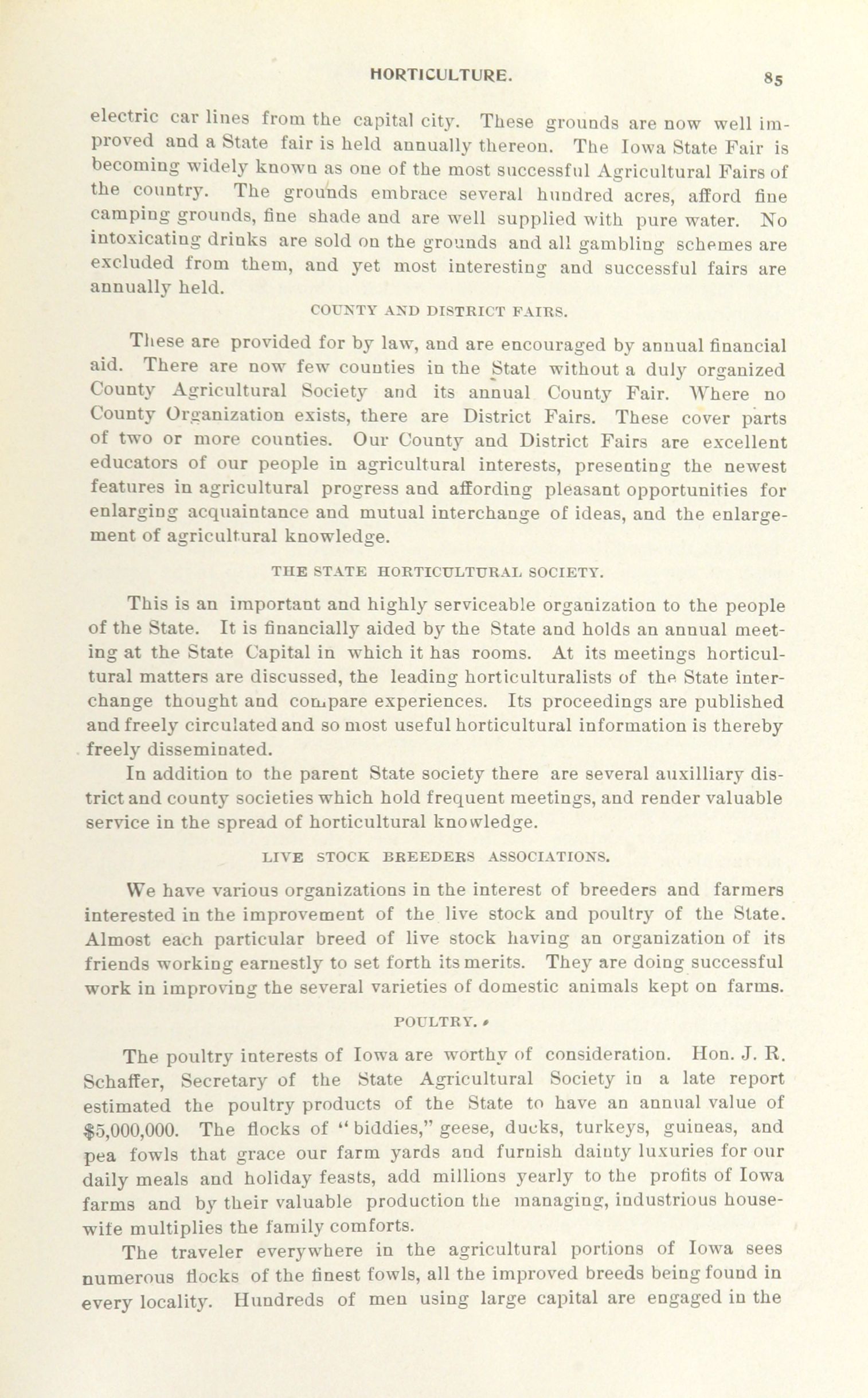 Illustration Archive