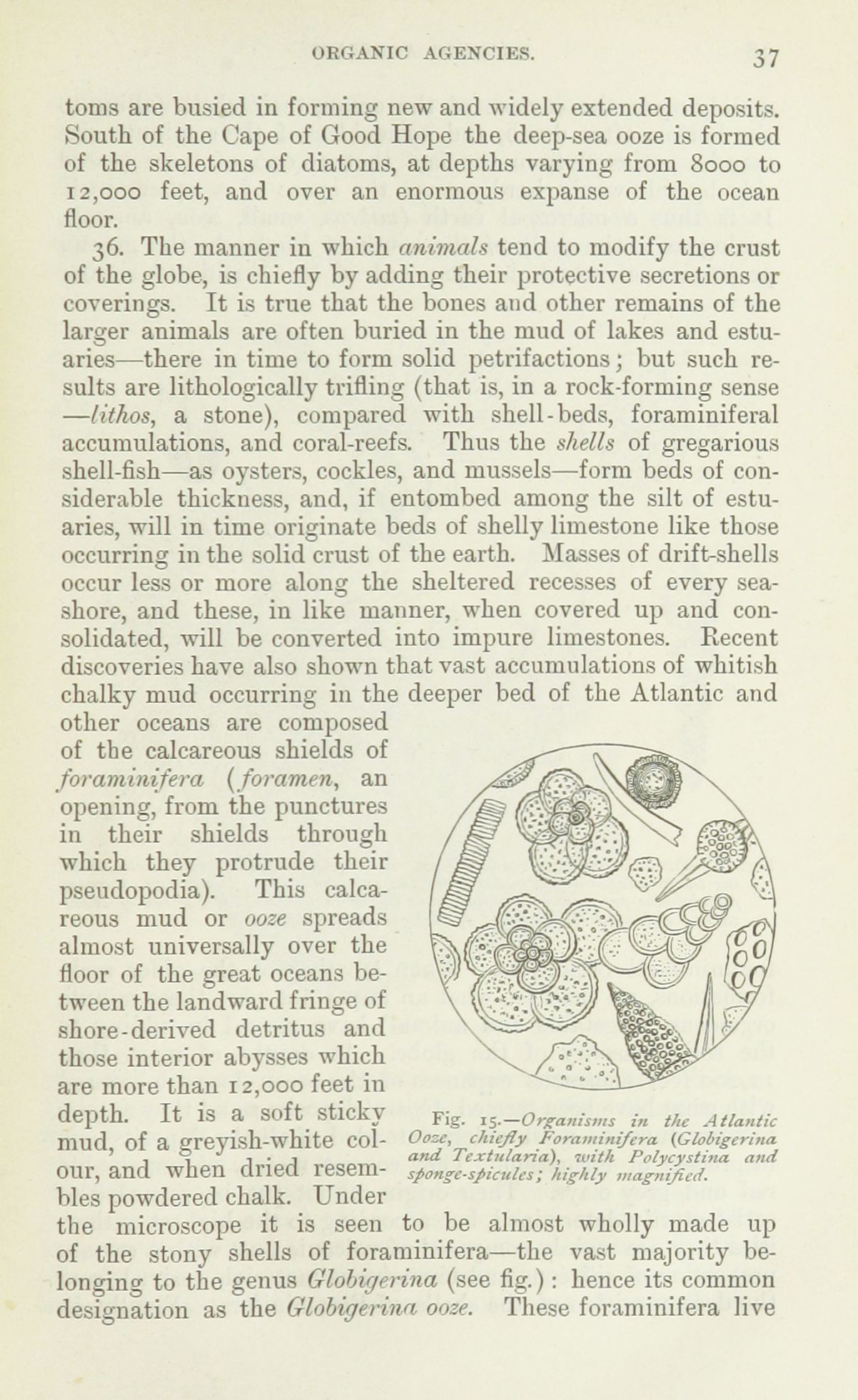 Illustration Archive